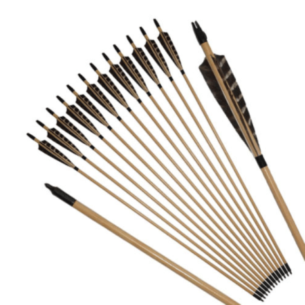 Crossbow Bolts Vs Arrows – What Is The Difference? - JunXing Archery ...