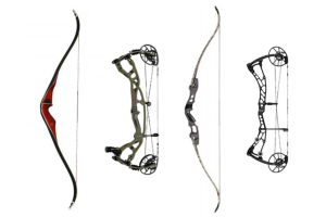 Recurve vs Compound Bow: Which is Best for Your Archery Journey?