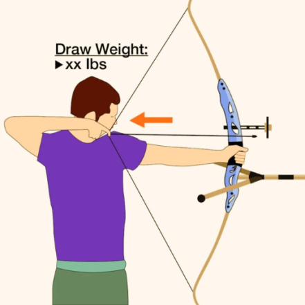 What Size Recurve Bow Do I Need? Ultimate Guide to Choosing the Perfect ...